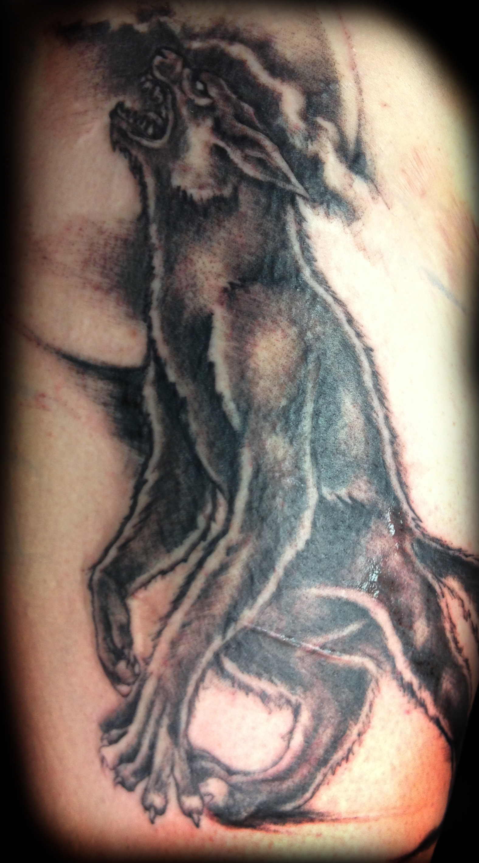 werewolf | My Little Needle Tattoos